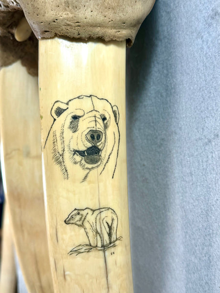 Pre 1972 WALRUS MASK