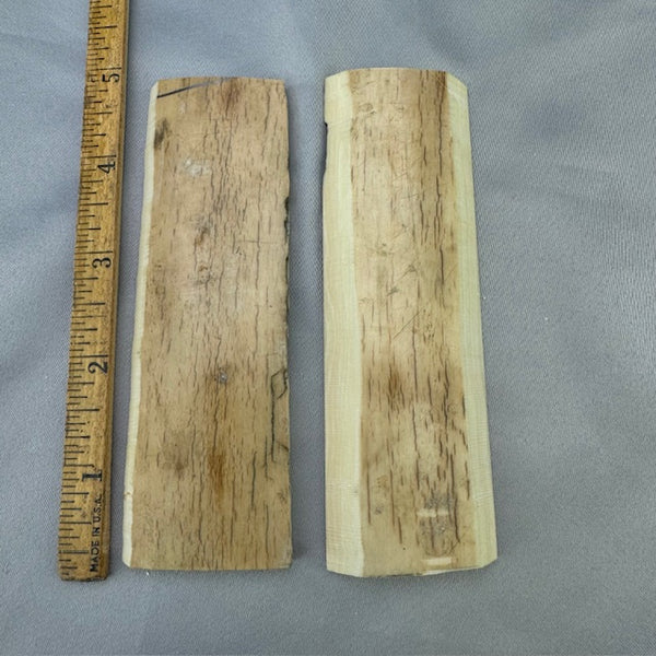 Mammoth Ivory and Bone | Boone Trading Company