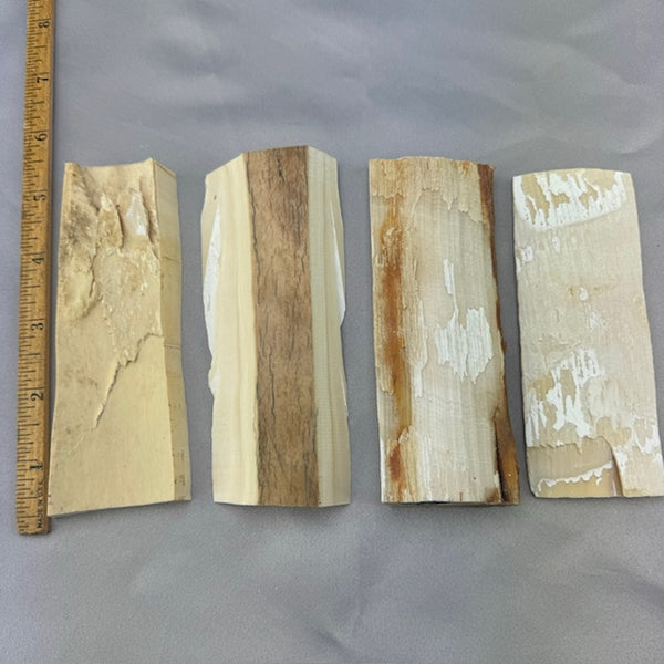 Mammoth Ivory and Bone | Boone Trading Company