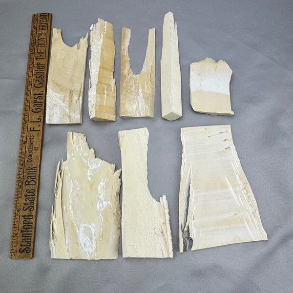 Mammoth Ivory Mixed Pieces Lot - Sold 4.29.25 | Boone Trading Company