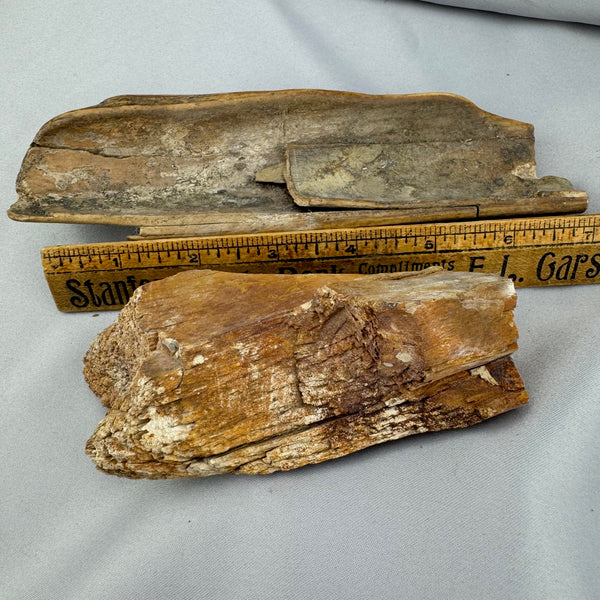 Mammoth Ivory Mixed Pieces Lot 66 | Boone Trading Company