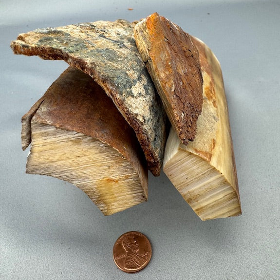 Mammoth Tusk Ivory Bark Layers - B | Boone Trading Company