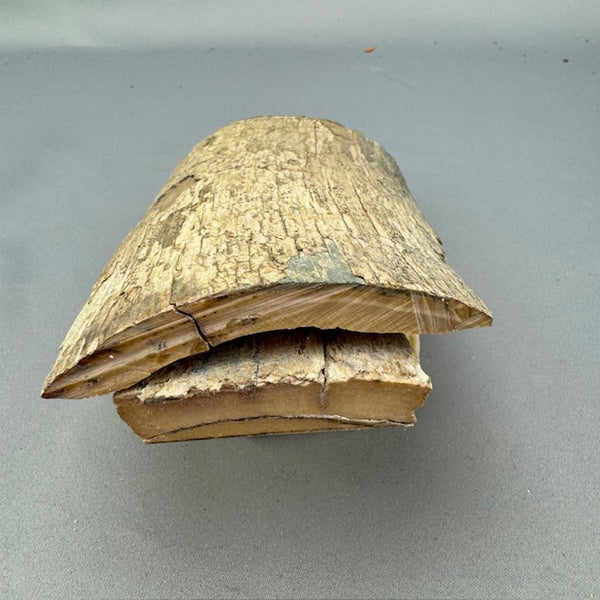 Mammoth Ivory Bark Lot- 36 | Boone Trading Company