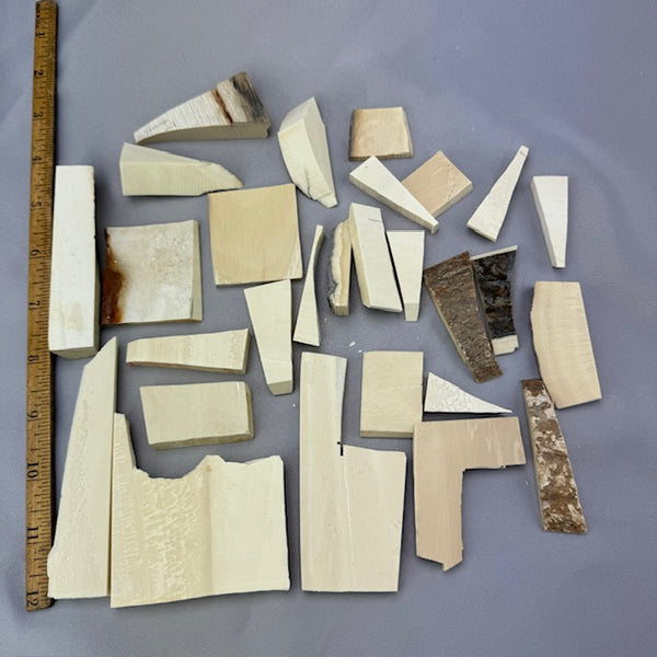 Mammoth Ivory and Bone | Boone Trading Company