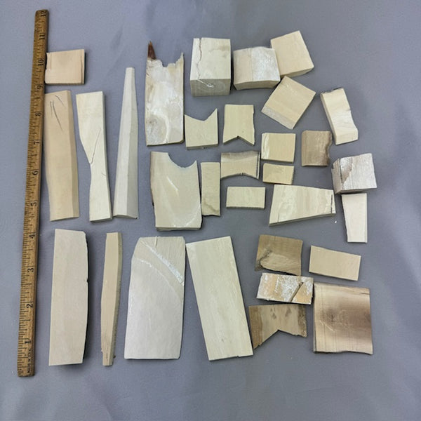 Mammoth Ivory and Bone | Boone Trading Company