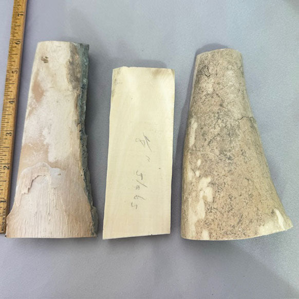 Mammoth Ivory Chunky Lot 01 | Boone Trading Company