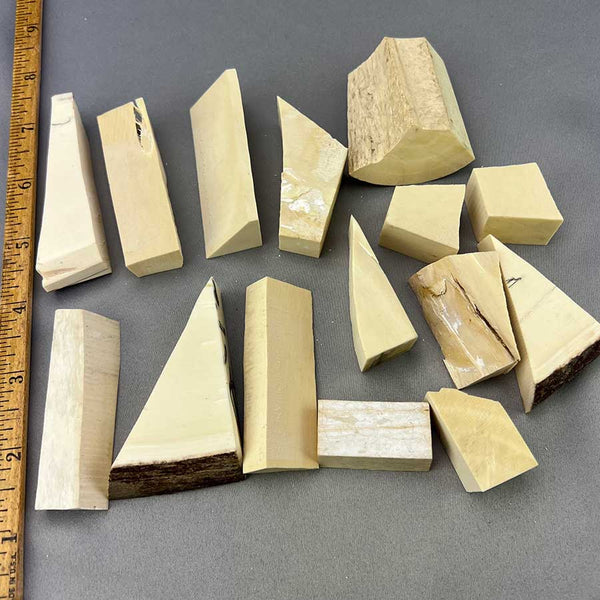 Mammoth Ivory and Bone | Boone Trading Company