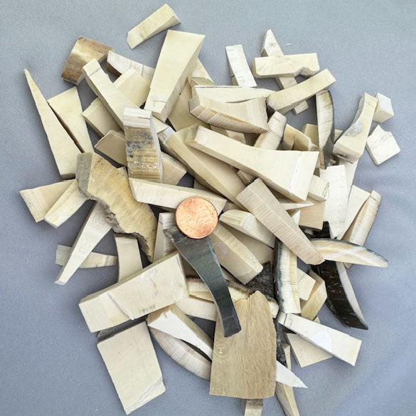 Mammoth Ivory and Bone | Boone Trading Company