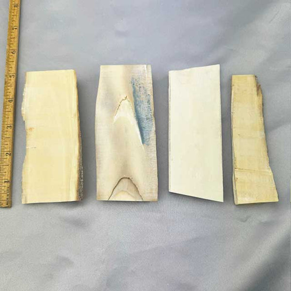 Mammoth Ivory and Bone | Boone Trading Company