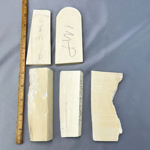 Mammoth Ivory and Bone | Boone Trading Company