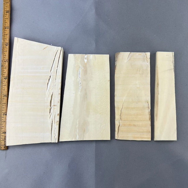 Mammoth Ivory and Bone | Boone Trading Company